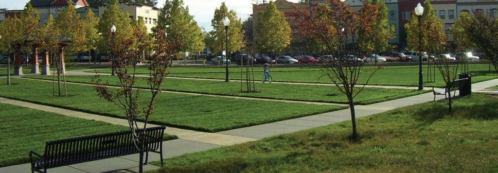 GreenCityGIS: Using GIS for Parks Management - Geographic Technologies ...